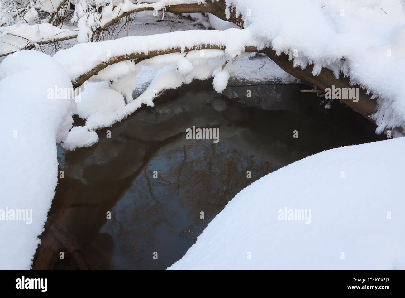 Small stream in winter forest Stock Photo - Alamy
