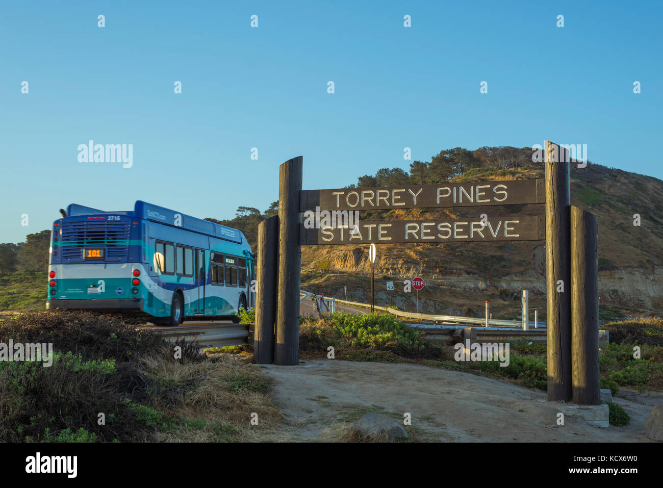 Torrey pines reserve hi-res stock photography and images - Alamy