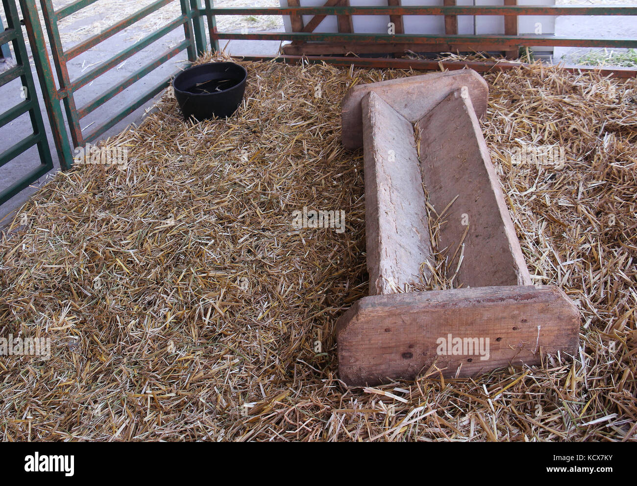 Wooden container and plastic bowl inside barn corner for feeding ...