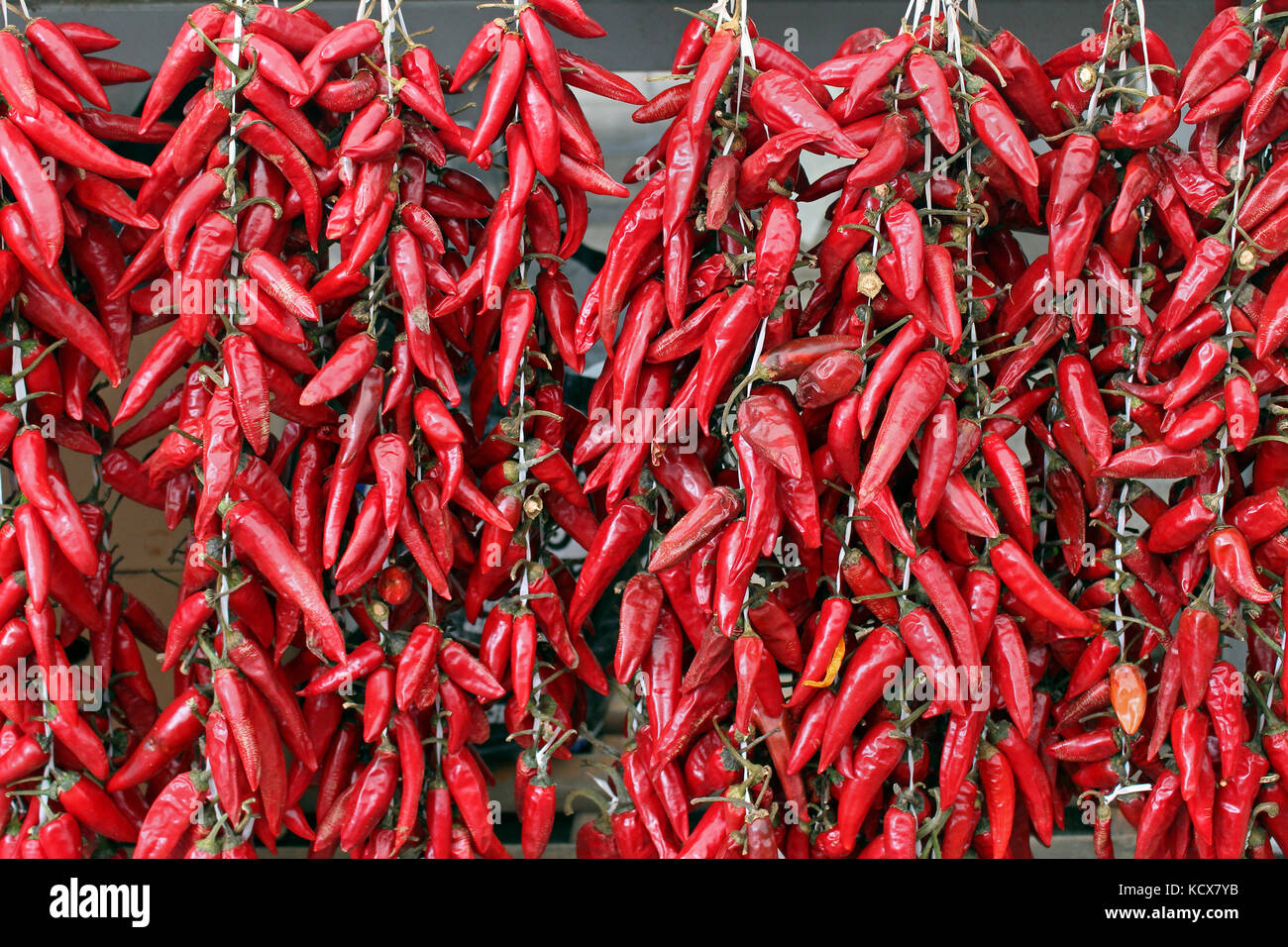 Dry red spicy peppers hanging on strings Stock Photo - Alamy