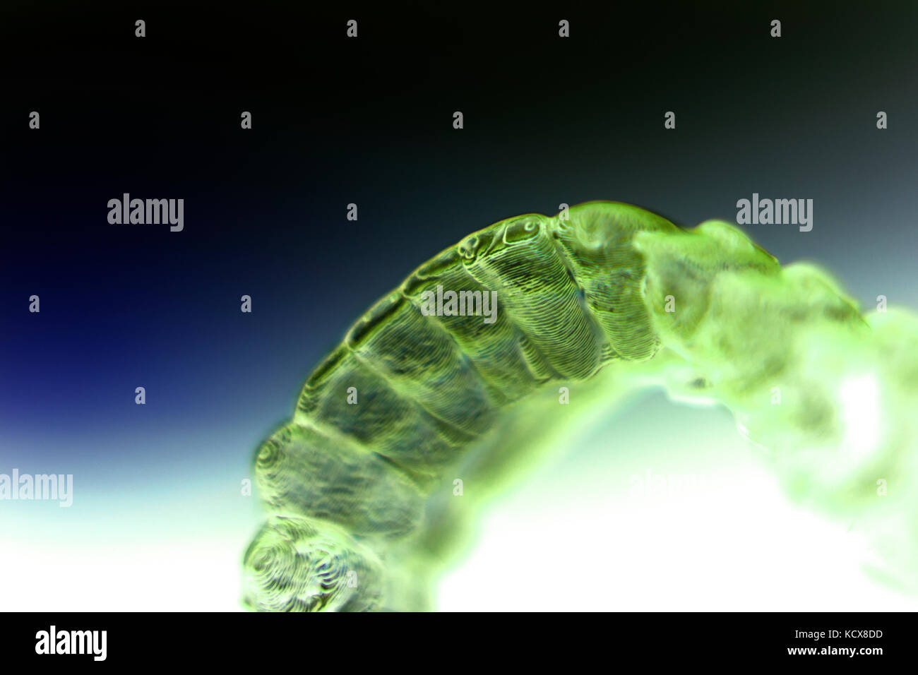 Invisible teeth dental tooth retainer aligner to straighten each tooth ...