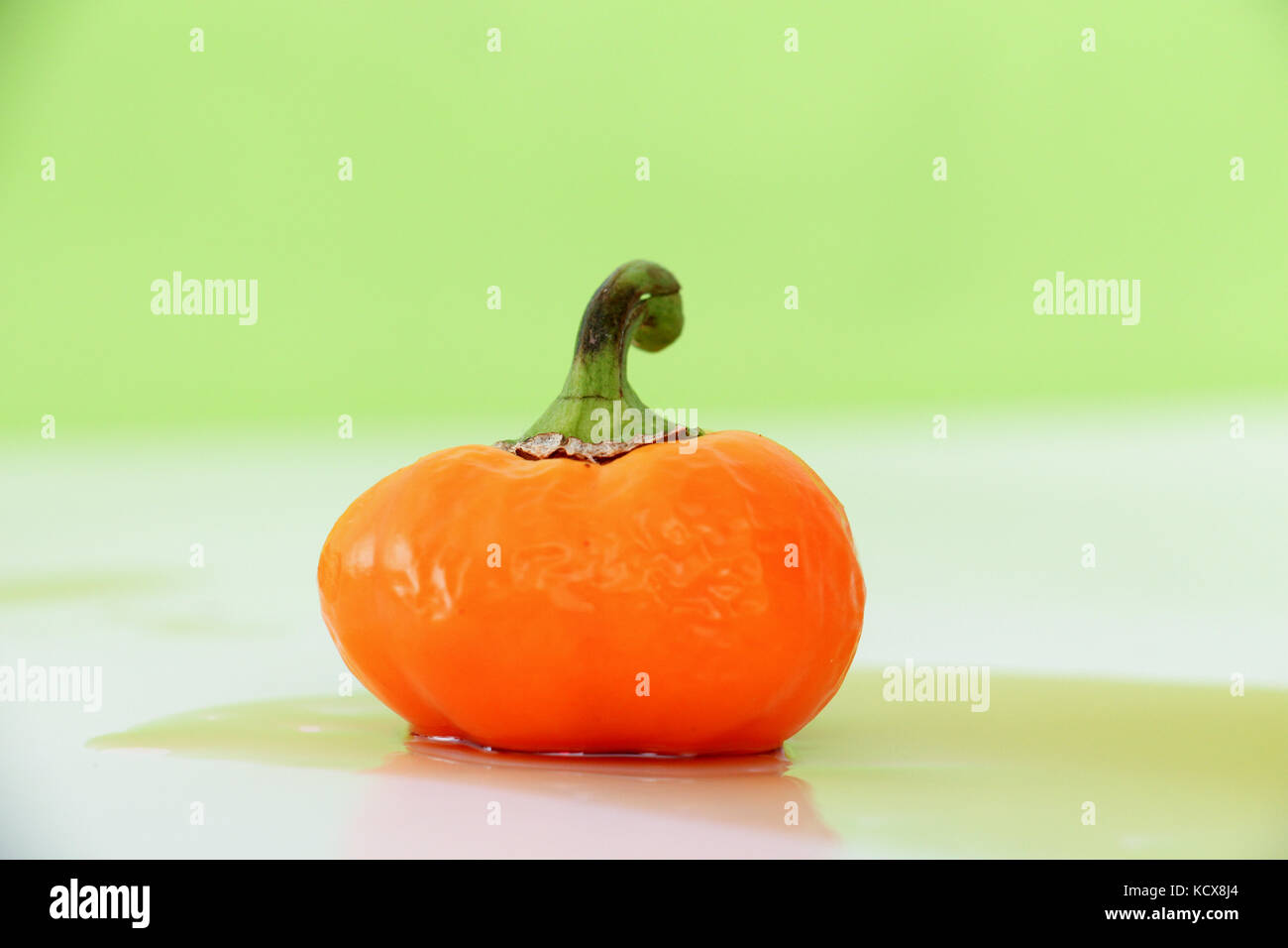 picture of a oily orange chili bell peppers,studio shot Stock Photo - Alamy