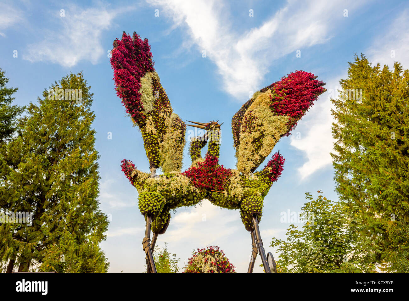 Topiary High Resolution Stock Photography and Images - Alamy