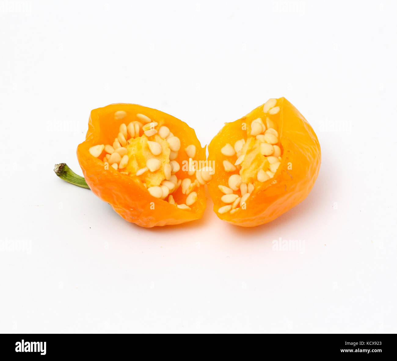 picture of a small chili bell paprika on white background Stock Photo ...