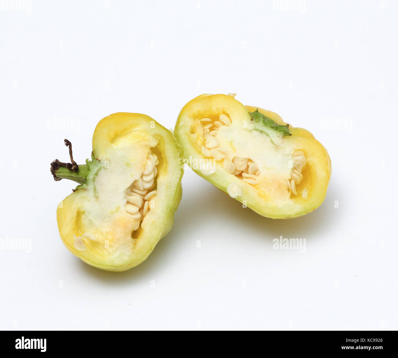 picture of a small chili bell paprika on white background Stock Photo ...