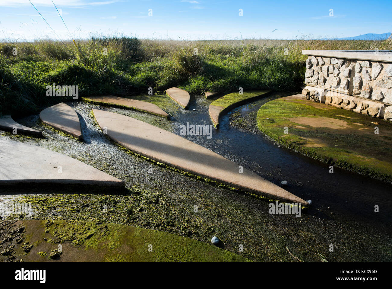 Concrete water dispersal forms in drainage ditch, Steveston, Richmond ...