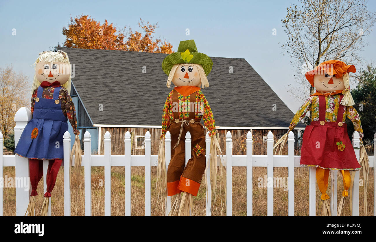 autumn scarecrow dolls on white picket fence with country barn ...