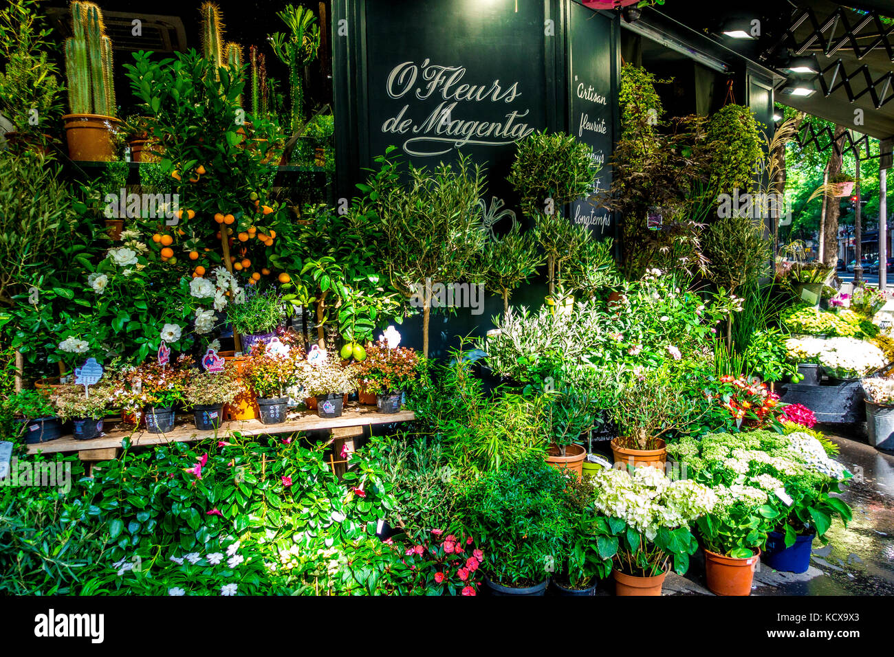 Parisian florist shop hi-res stock photography and images - Alamy