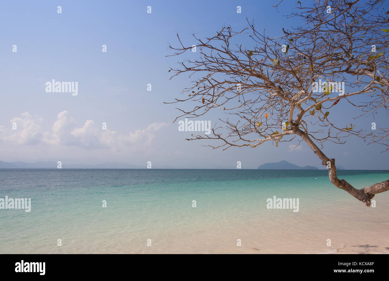 Tropical beach at Andaman sea,Thailand Stock Photo - Alamy