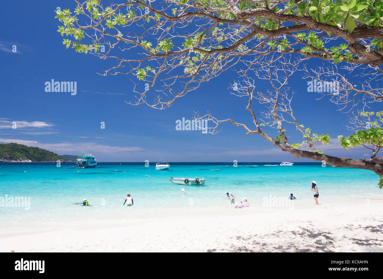 Beautiful tropical beach at Similan island,Thailand Stock Photo - Alamy