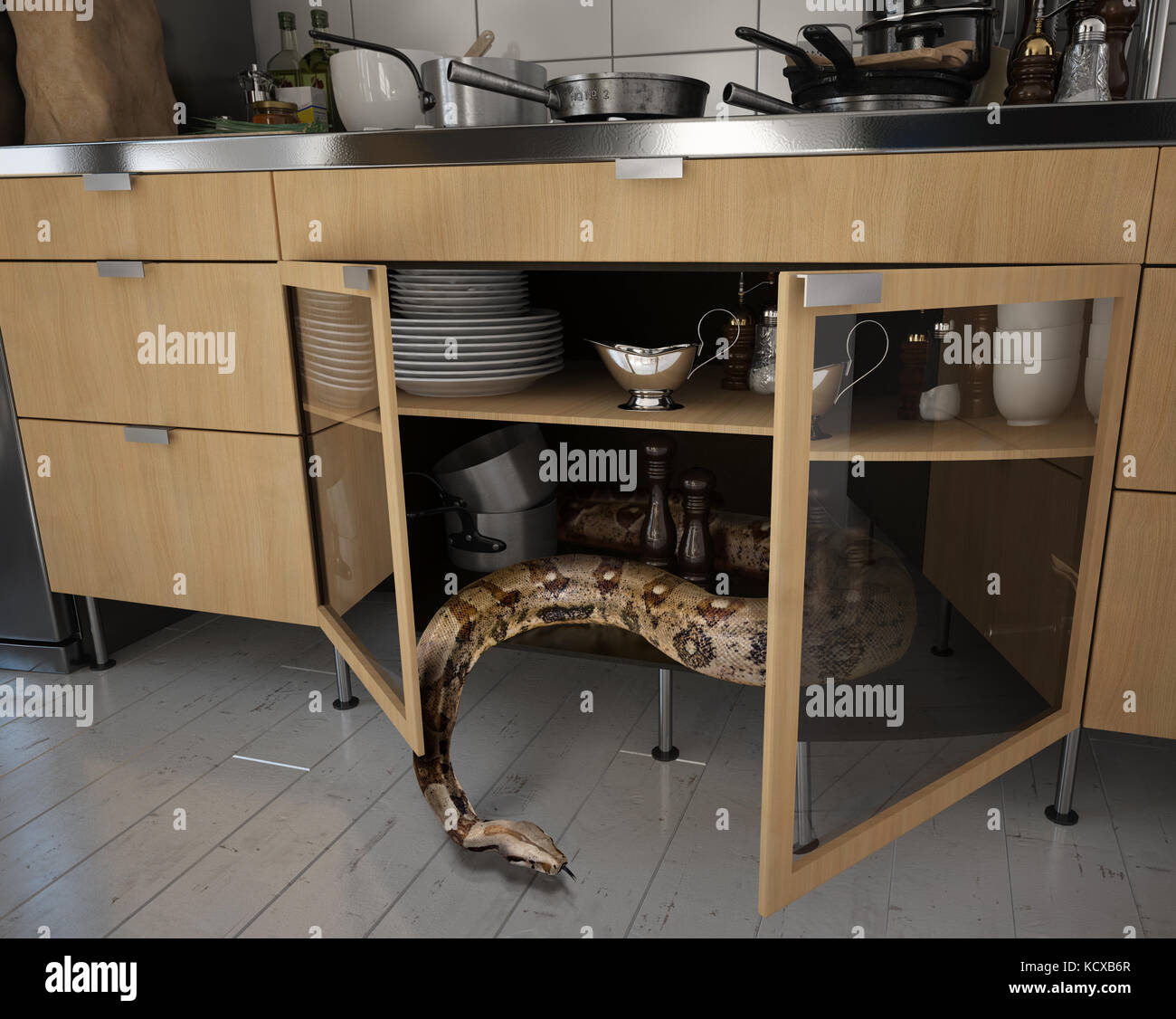 the snake hid in the kitchen cupboard Stock Photo - Alamy