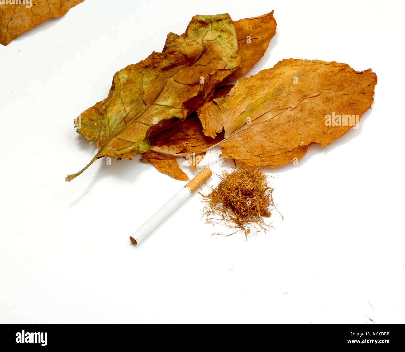 picture of a smoking issues, tobacco and nicotine addiction , health ...