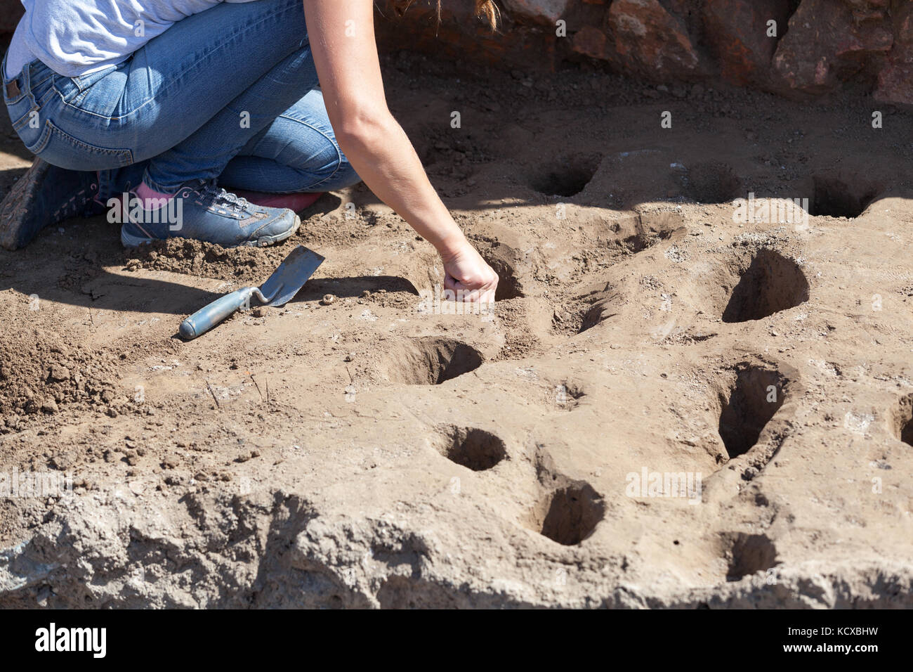 Female archaeologist digging holes at archaeological site Stock Photo ...