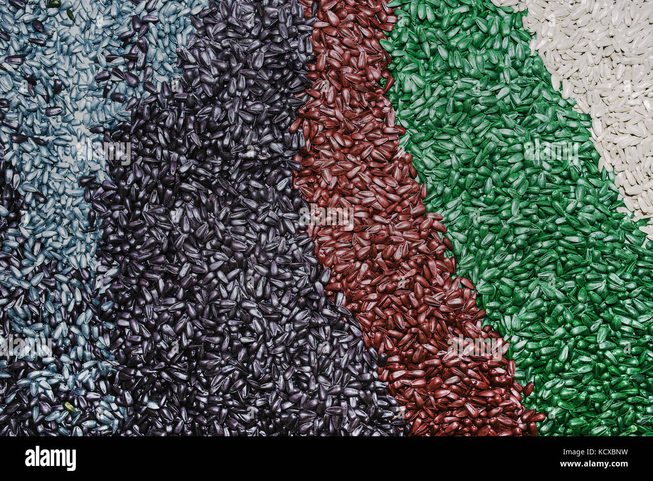 Multi-colored sunflower seed as background for agriculture and ...