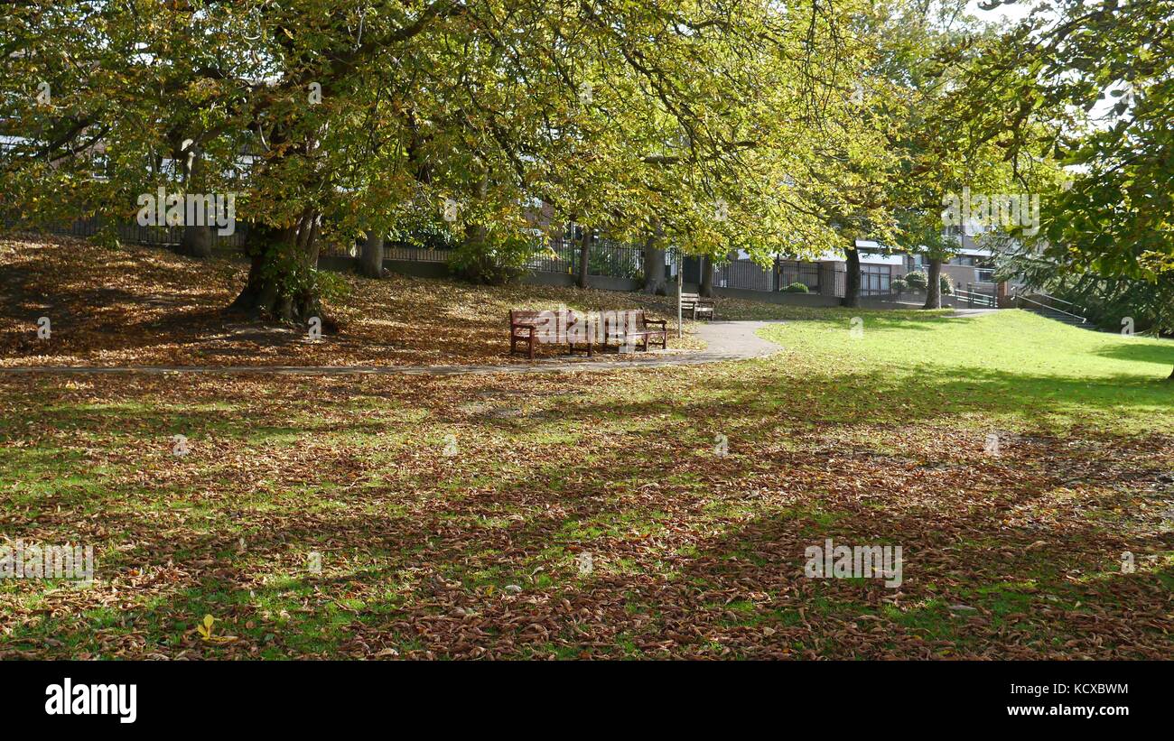 Autumn Leaves in a public park in Richmond on Thames London Stock Photo ...