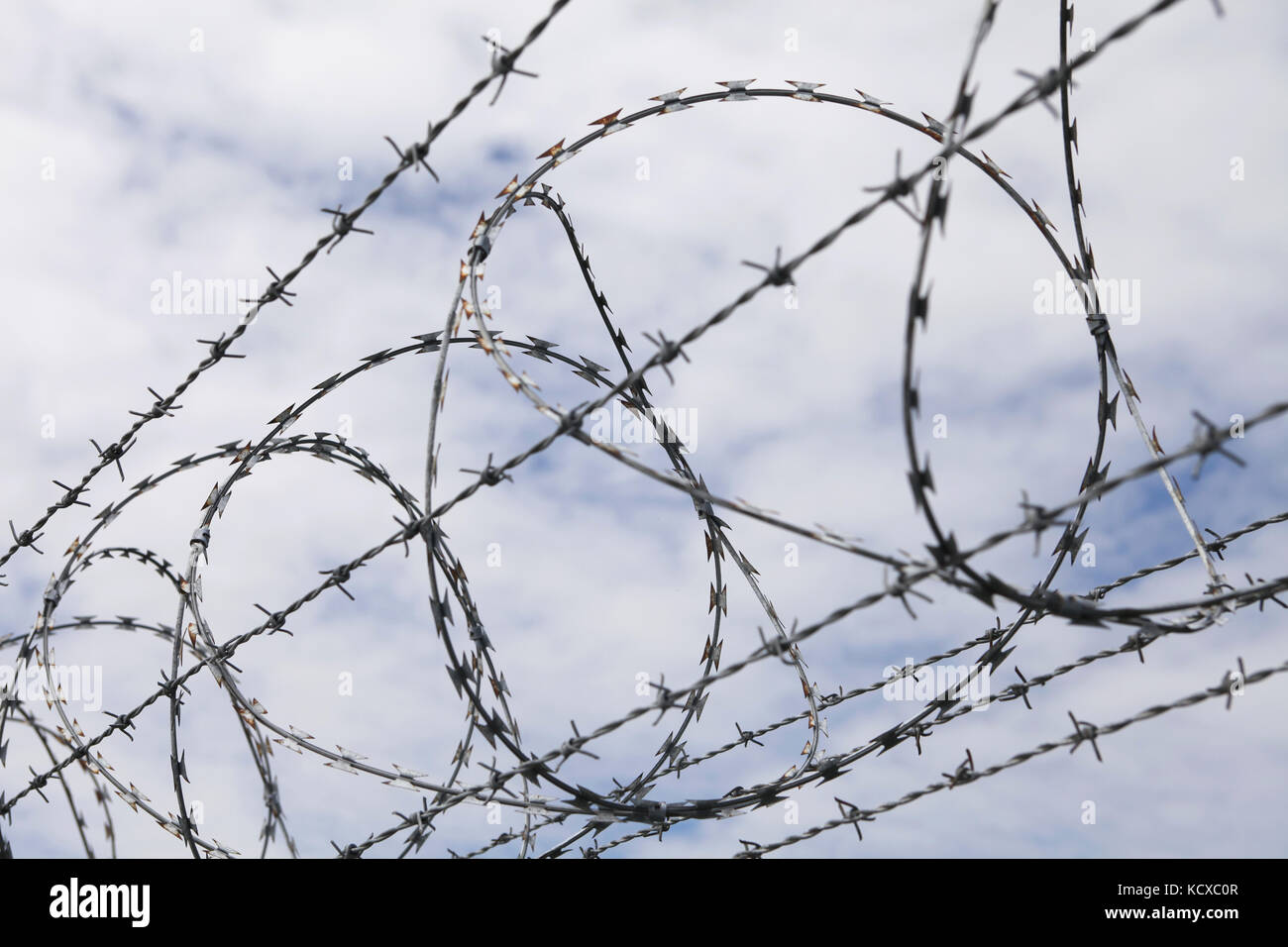 Heavy duty barbed wire Stock Photo - Alamy