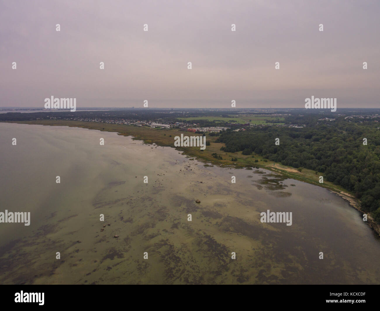 aerial view, baltic sea with green forest Stock Photo - Alamy