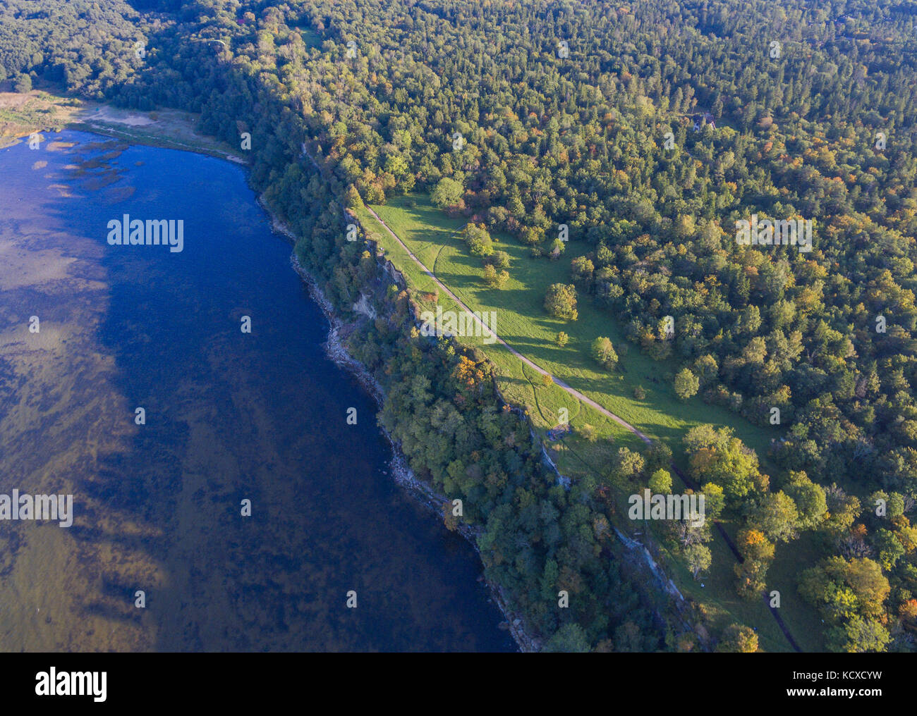 Areal view green forest with sea Stock Photo - Alamy