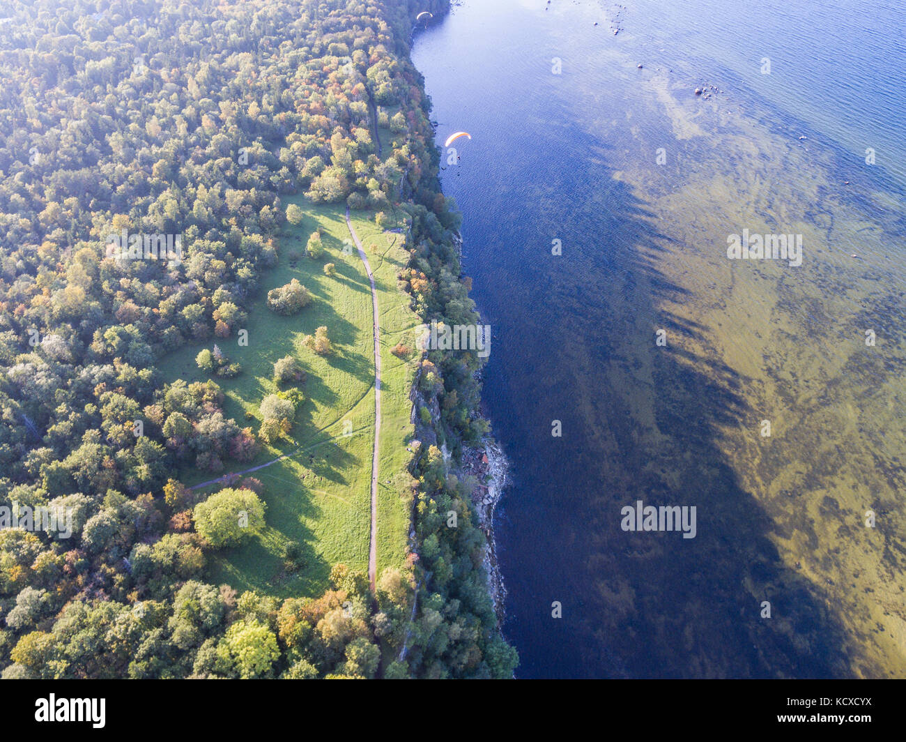 Areal view green forest with sea Stock Photo - Alamy