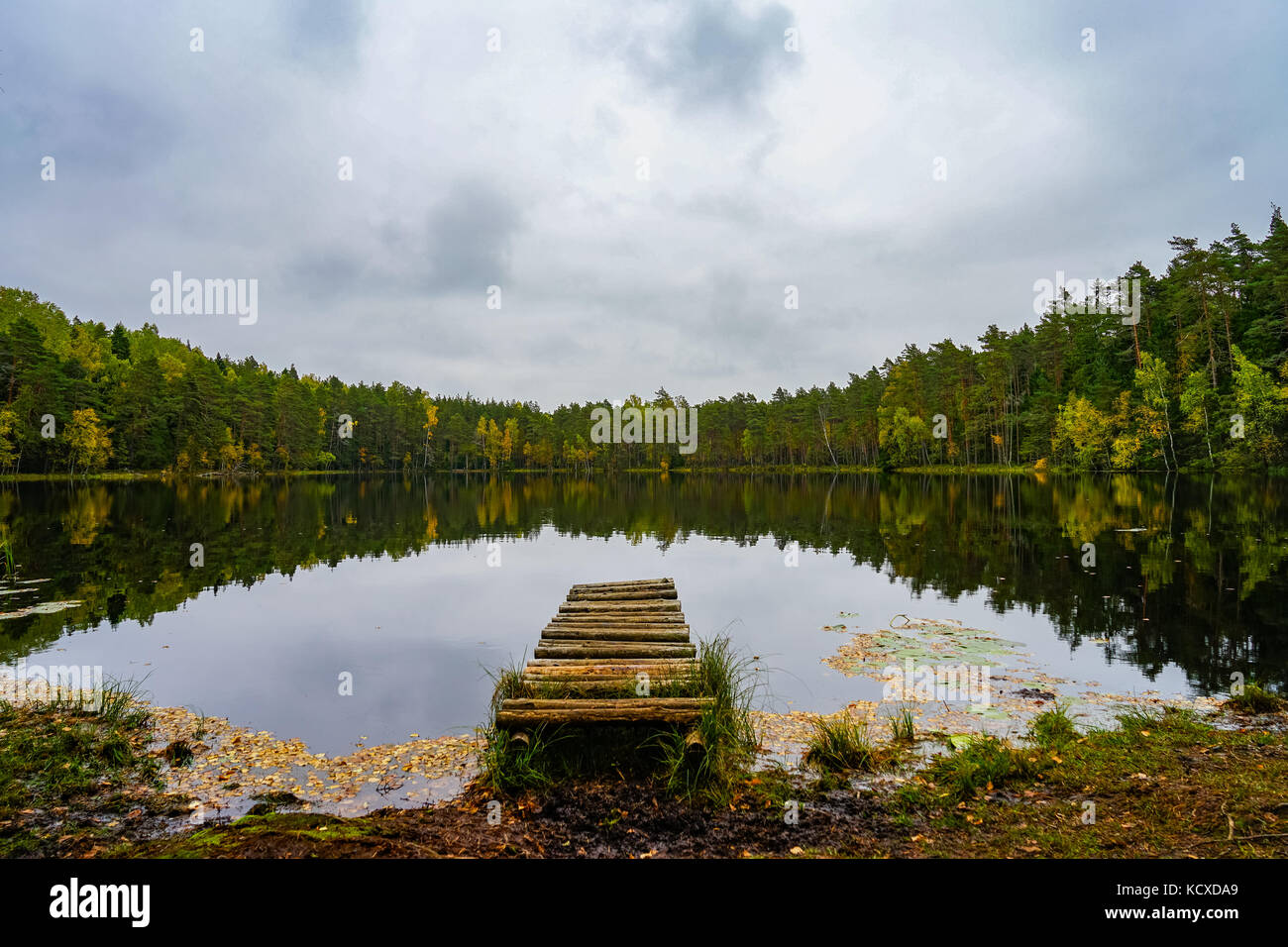 Beautiful autumn forest near the water Stock Photo - Alamy