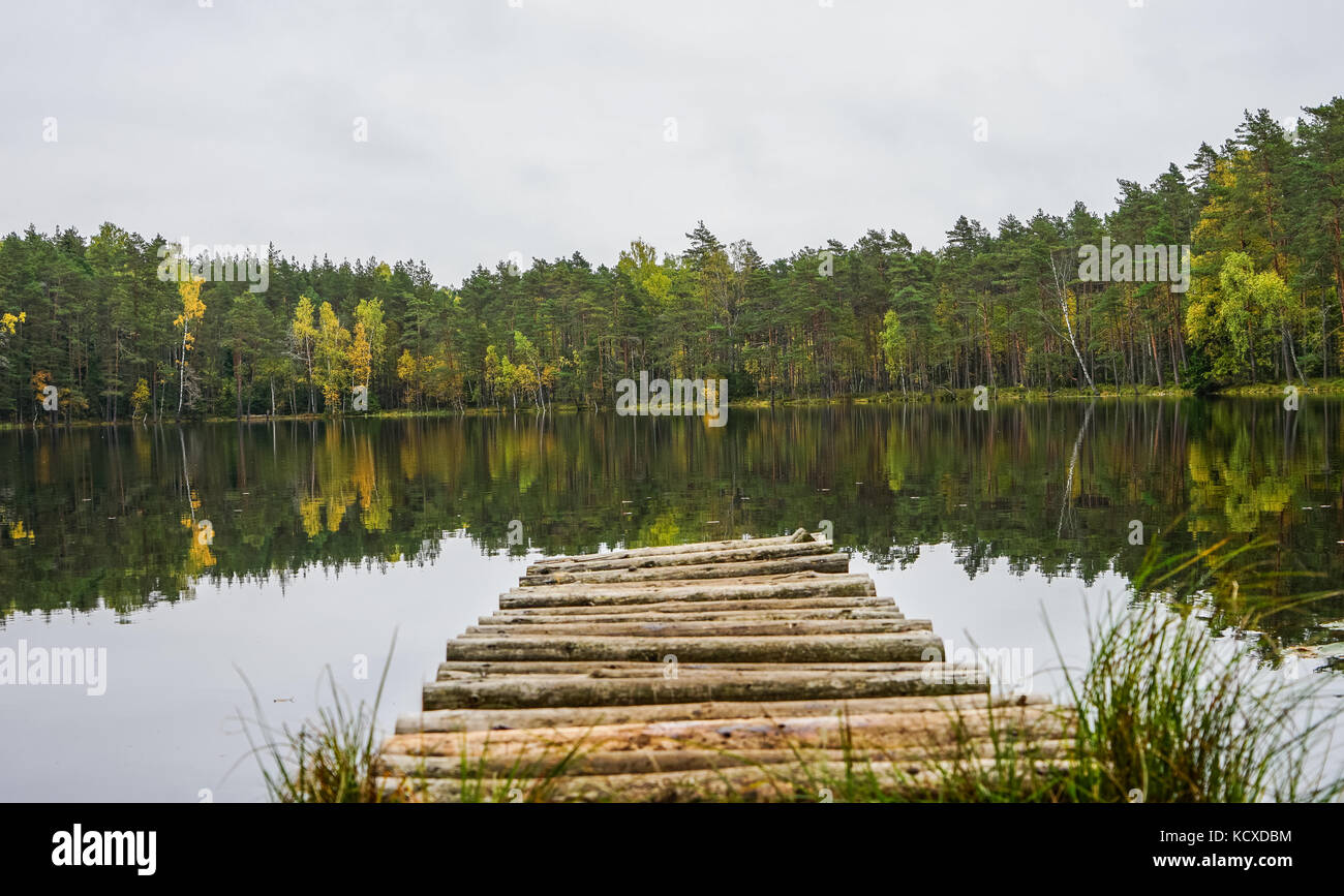 Beautiful autumn forest near the water Stock Photo - Alamy