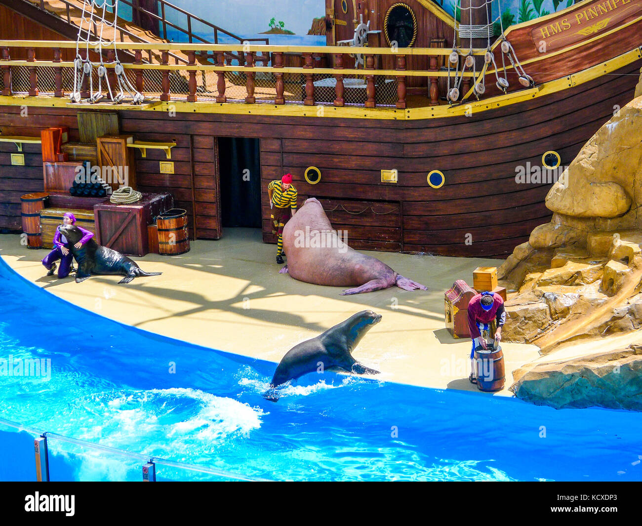 Pirate ship attraction seaworld hi-res stock photography and images - Alamy