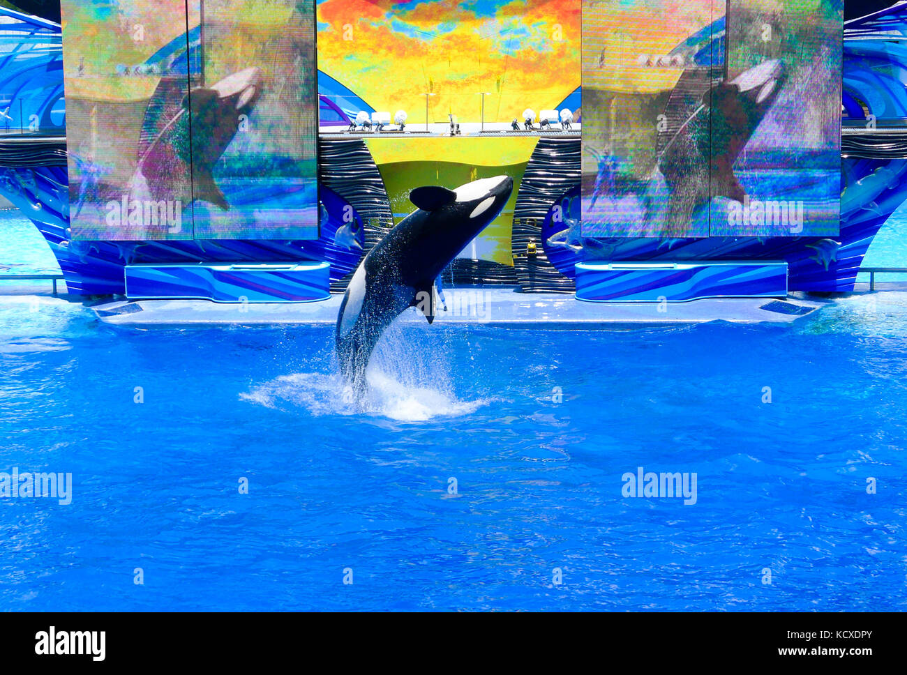 Seaworld Orlando Dolphin High Resolution Stock Photography and Images ...