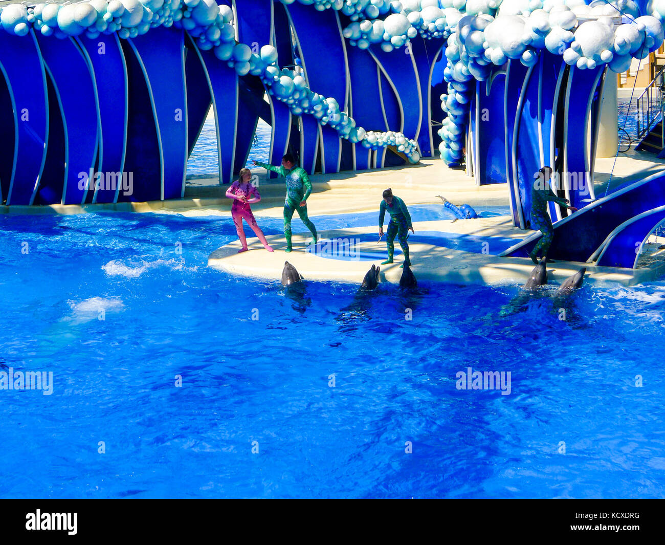 Shamu killer whale seaworld orlando hi-res stock photography and images ...