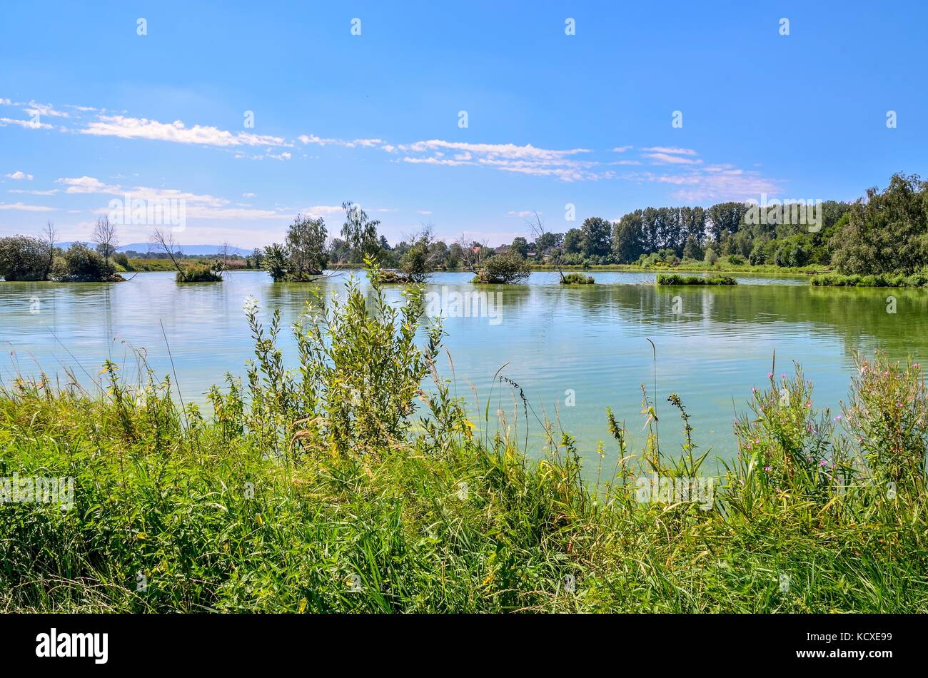 Sunny summer landscape. Beautiful pond in the countryside with ...