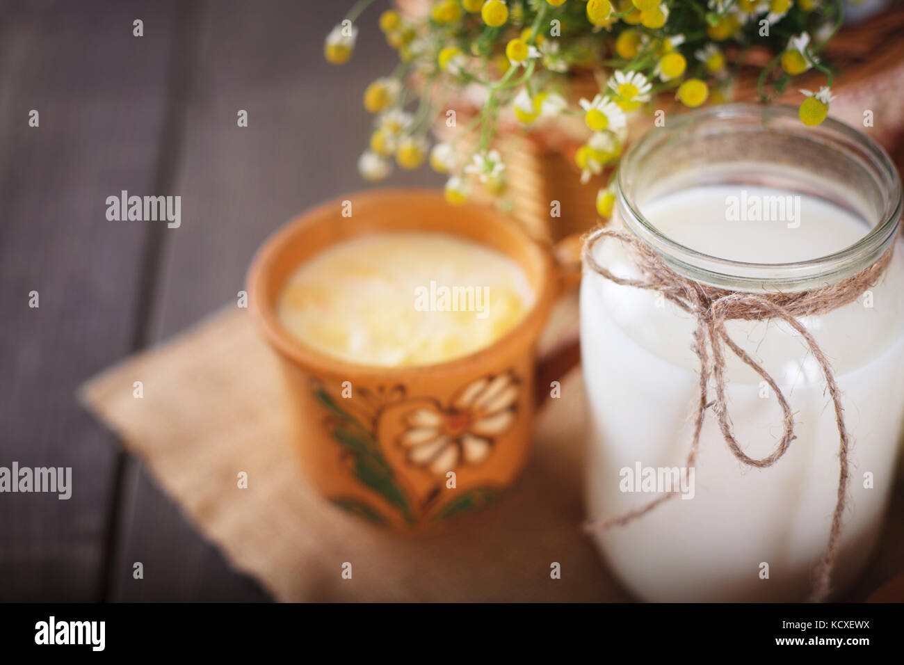 Fresh milk and curdled milk on the table. Still life in rural style ...