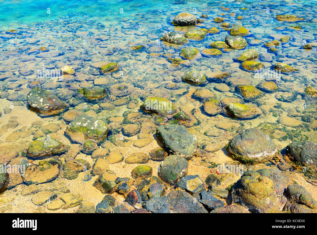 Ocean rock underwater floor hi-res stock photography and images - Alamy
