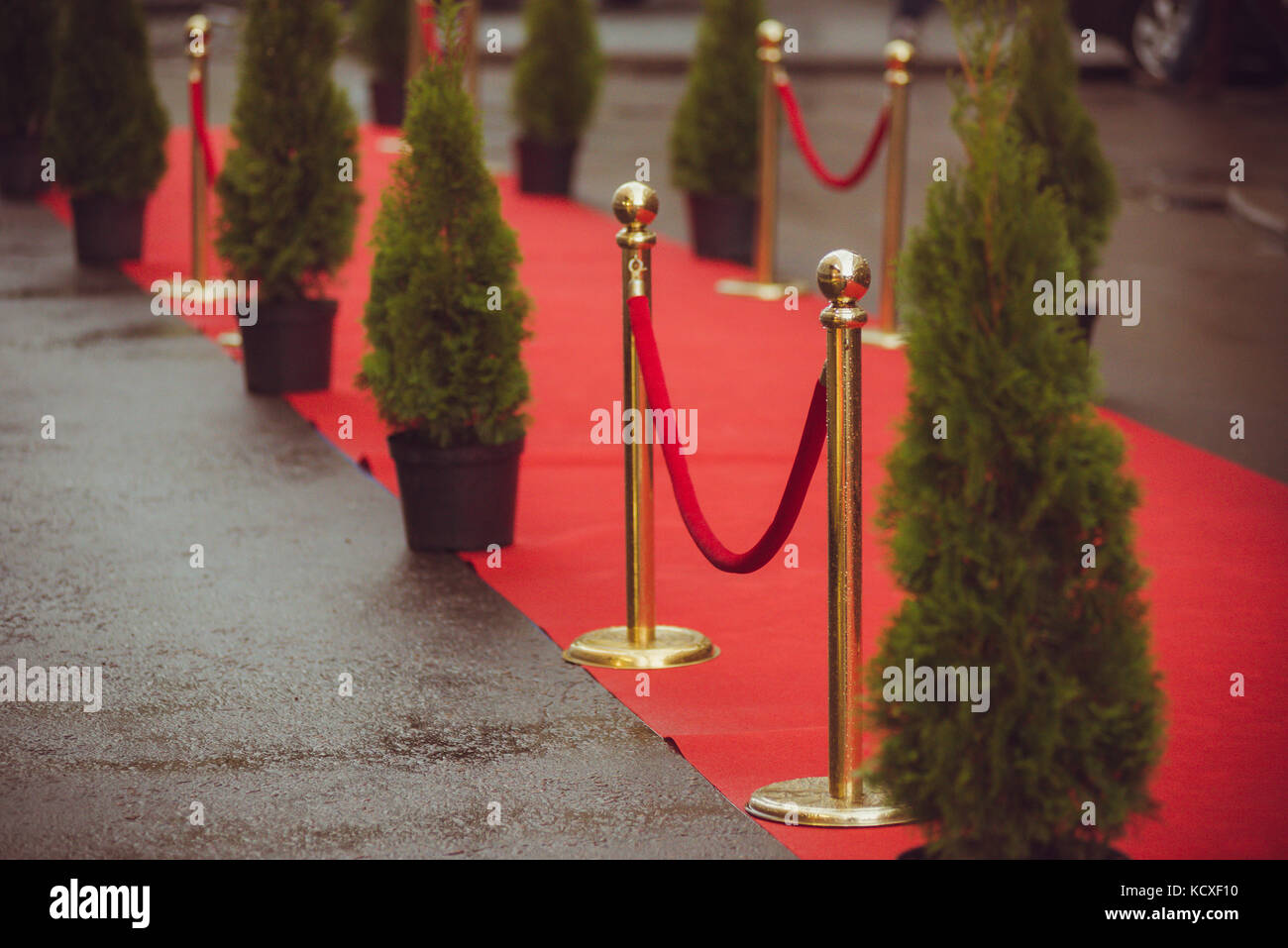 Red Carpet - is traditionally used to mark the route taken by heads of ...