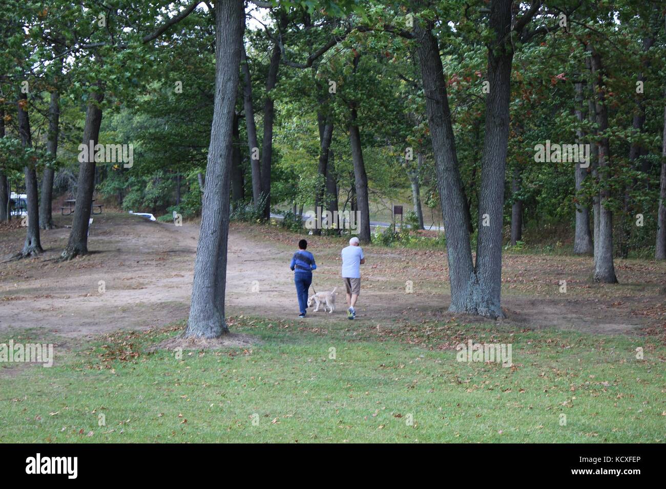 People enjoying the day in the woods on a biking and walking path with ...