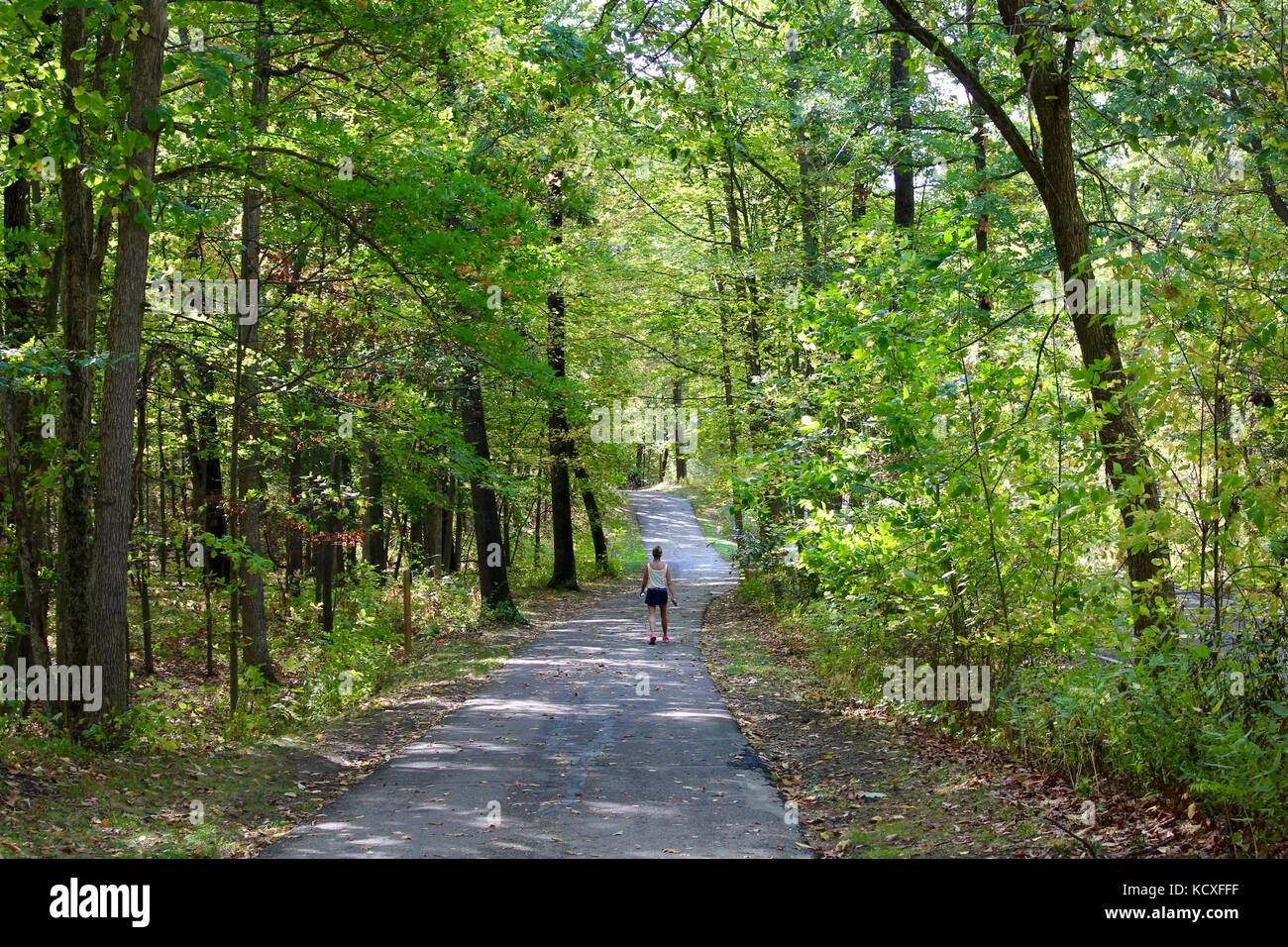 Joggers on forest path hi-res stock photography and images - Alamy