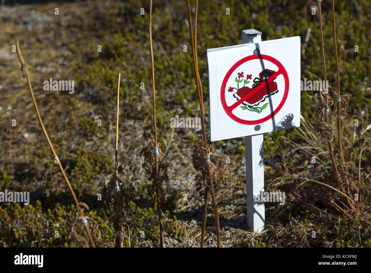 Multi colored signage hi-res stock photography and images - Alamy