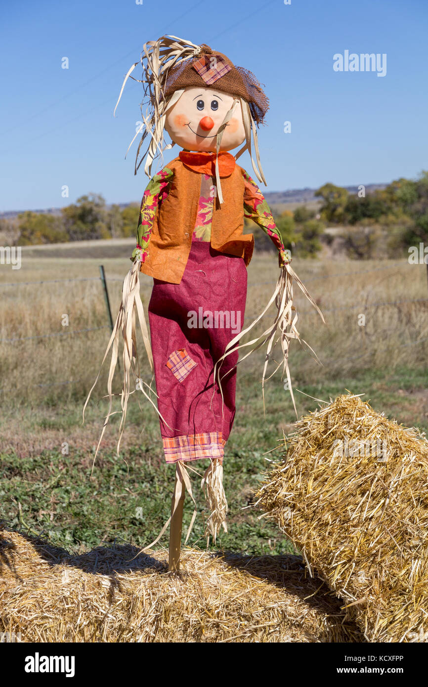 Scarecrow place in a hay bale at the historic homestead at the ...