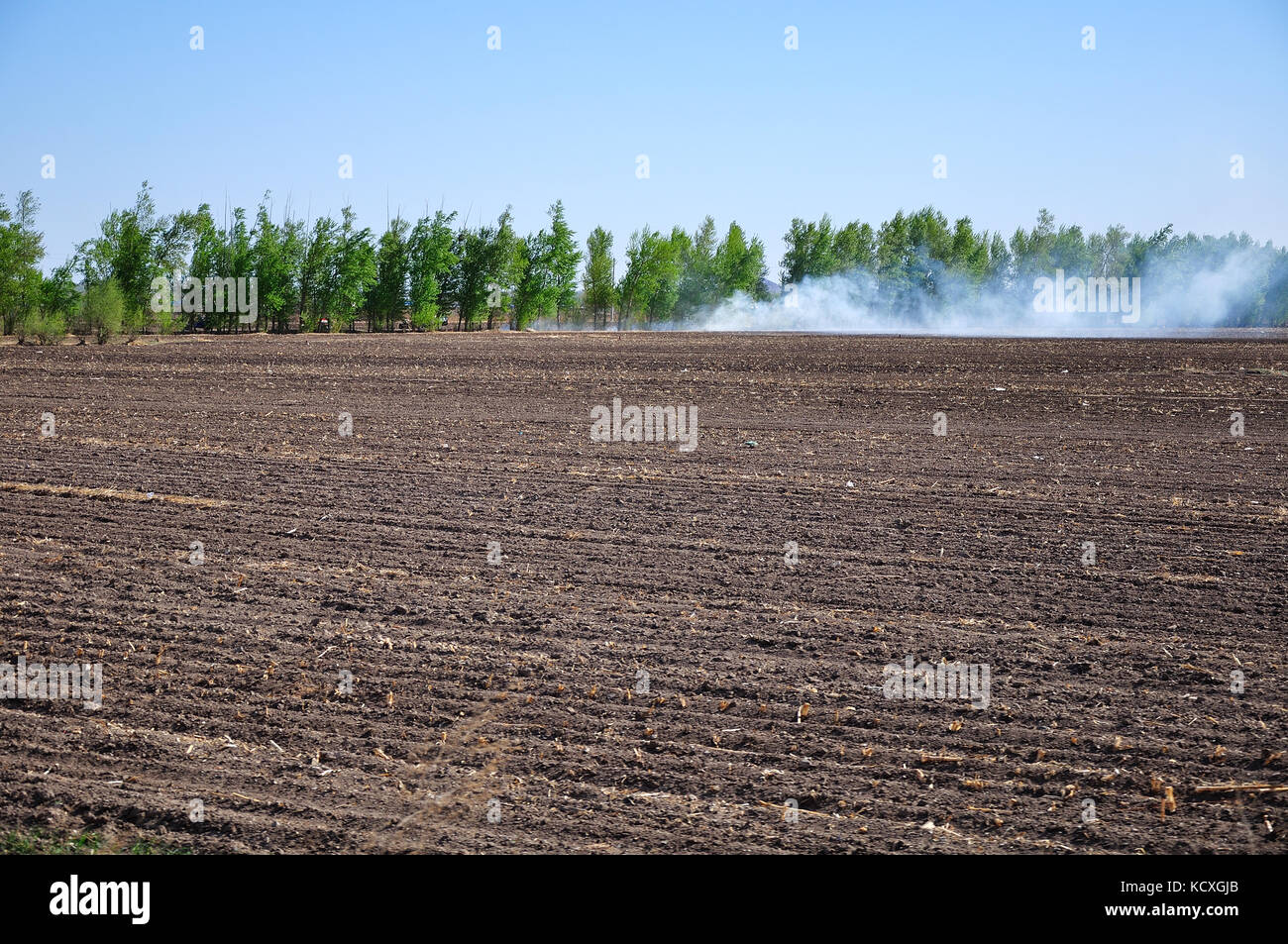 Tree smoking hi-res stock photography and images - Alamy