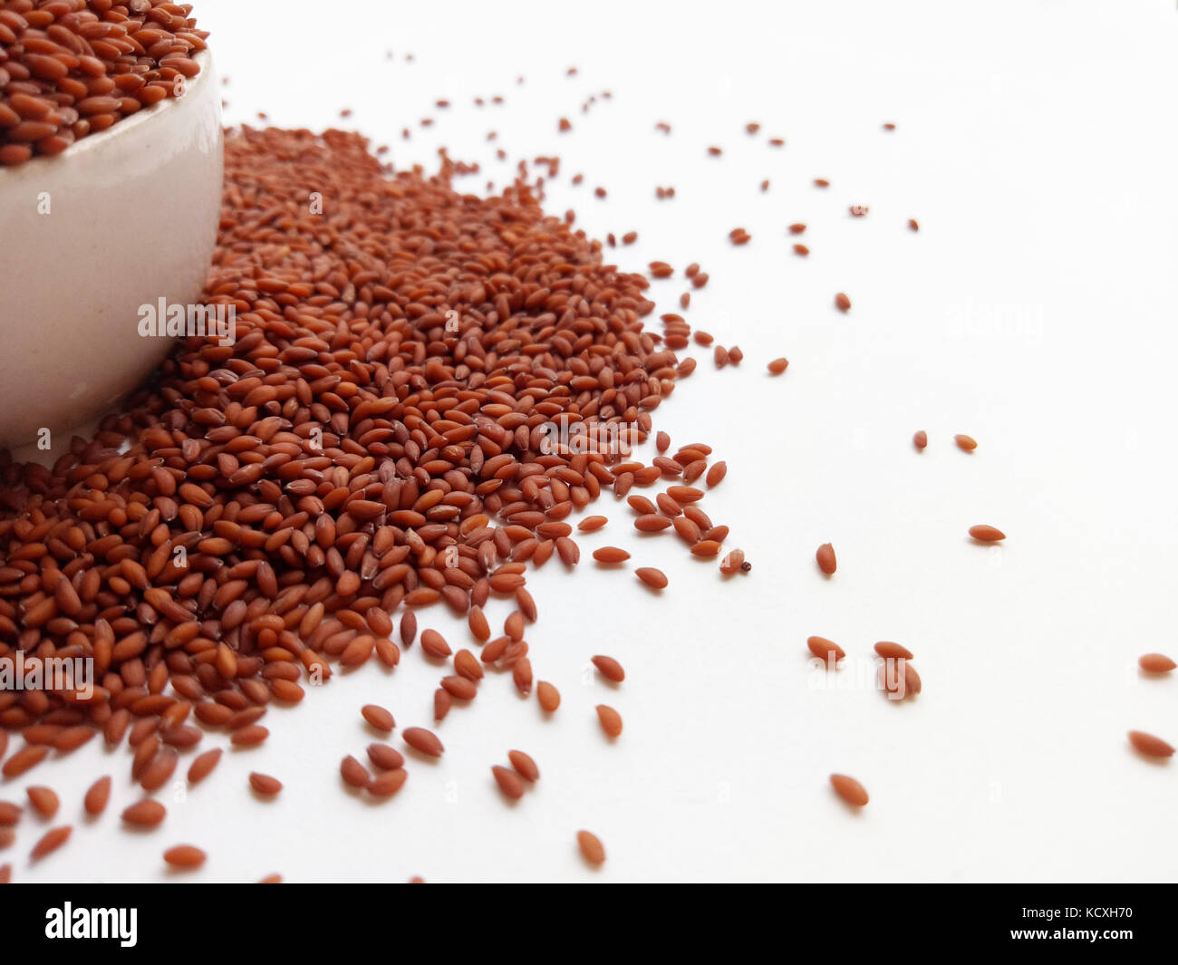 Garden Cress Seeds Stock Photo - Alamy