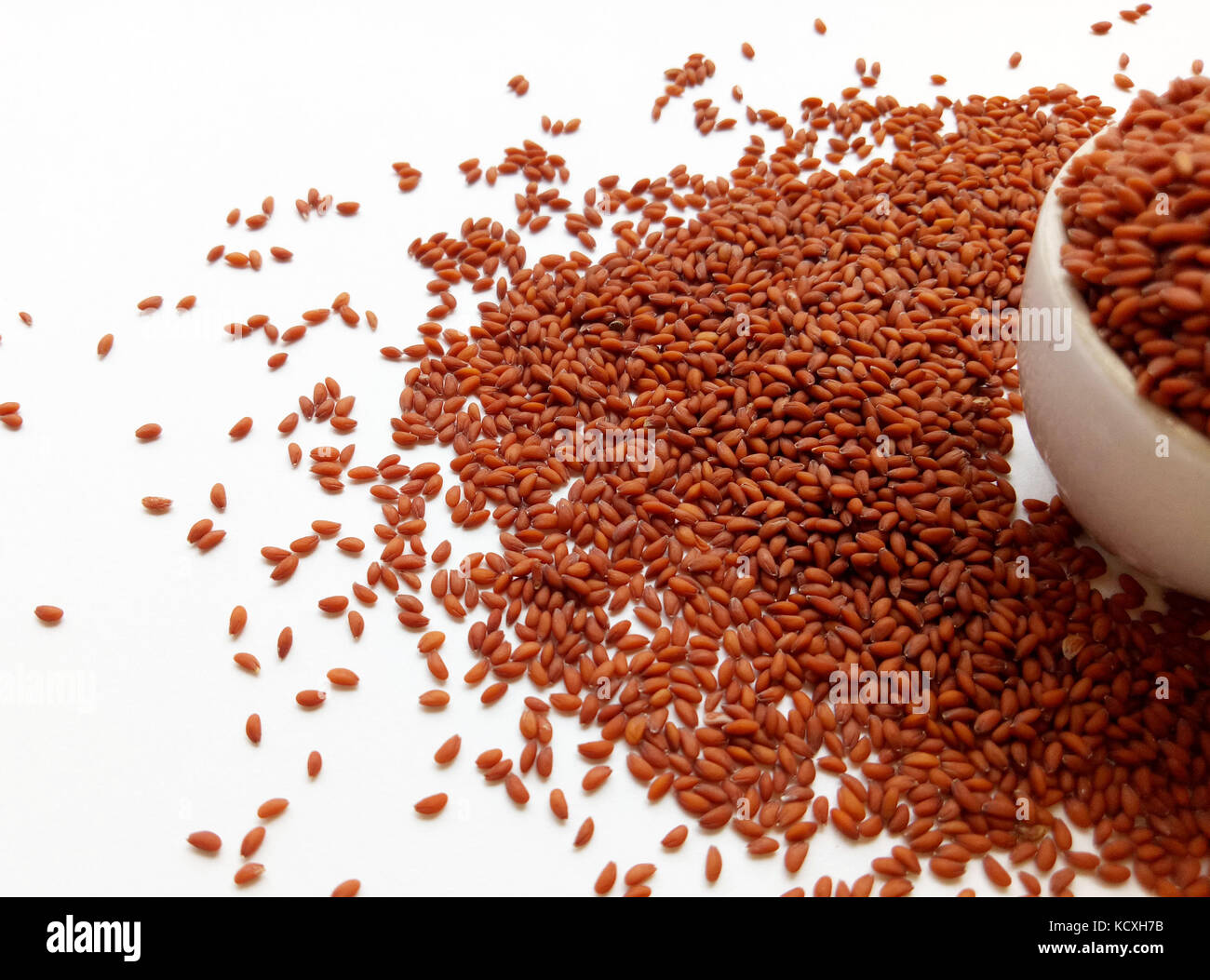 Garden Cress Seeds Stock Photo - Alamy