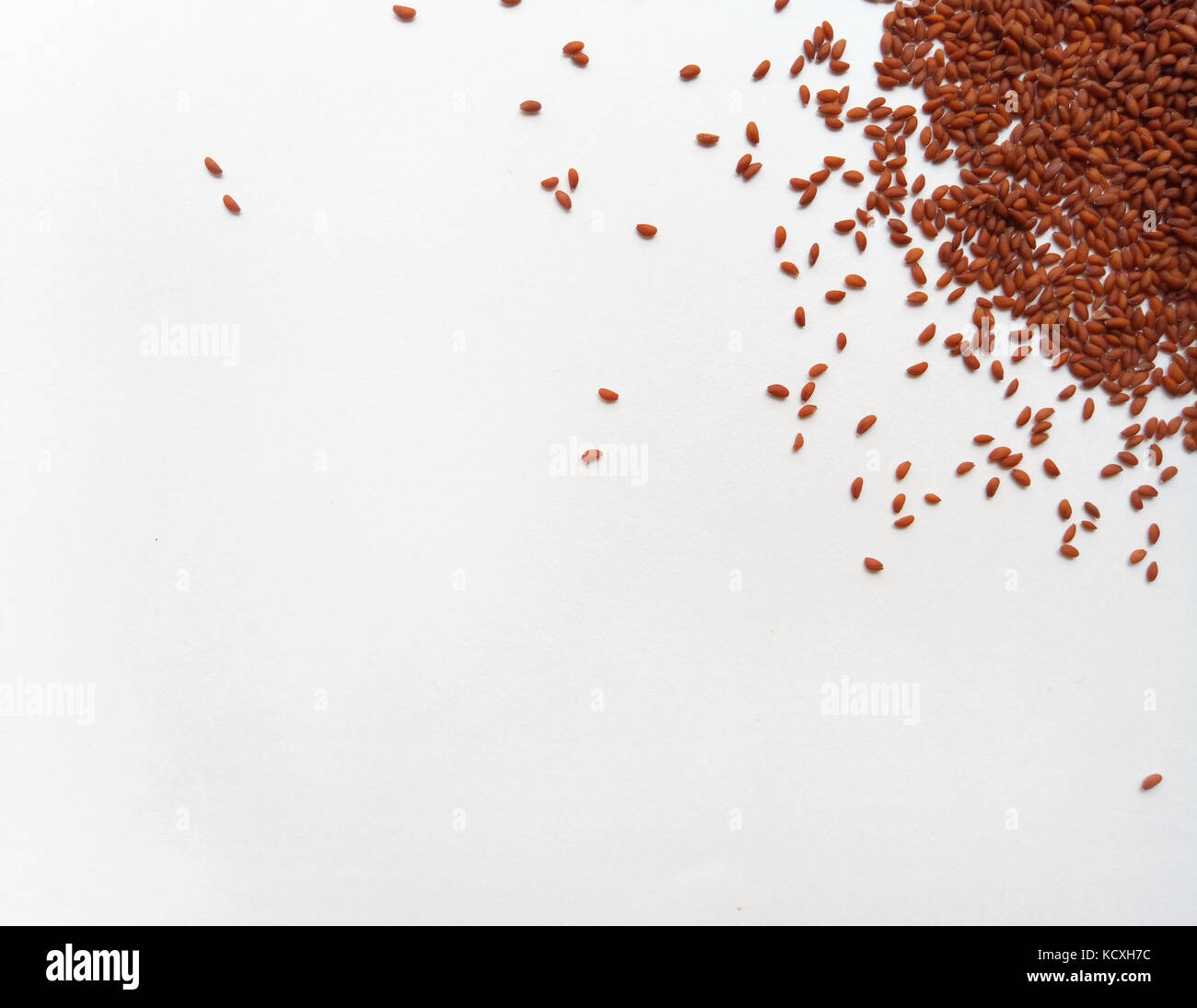 Garden Cress Seeds Stock Photo - Alamy