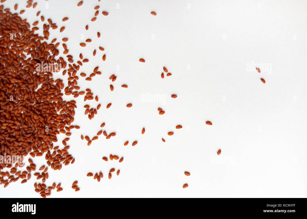 Garden Cress Seeds Stock Photo - Alamy