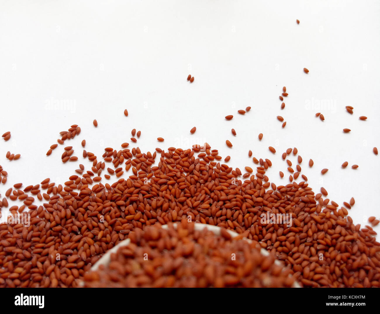 Garden Cress Seeds Stock Photo - Alamy