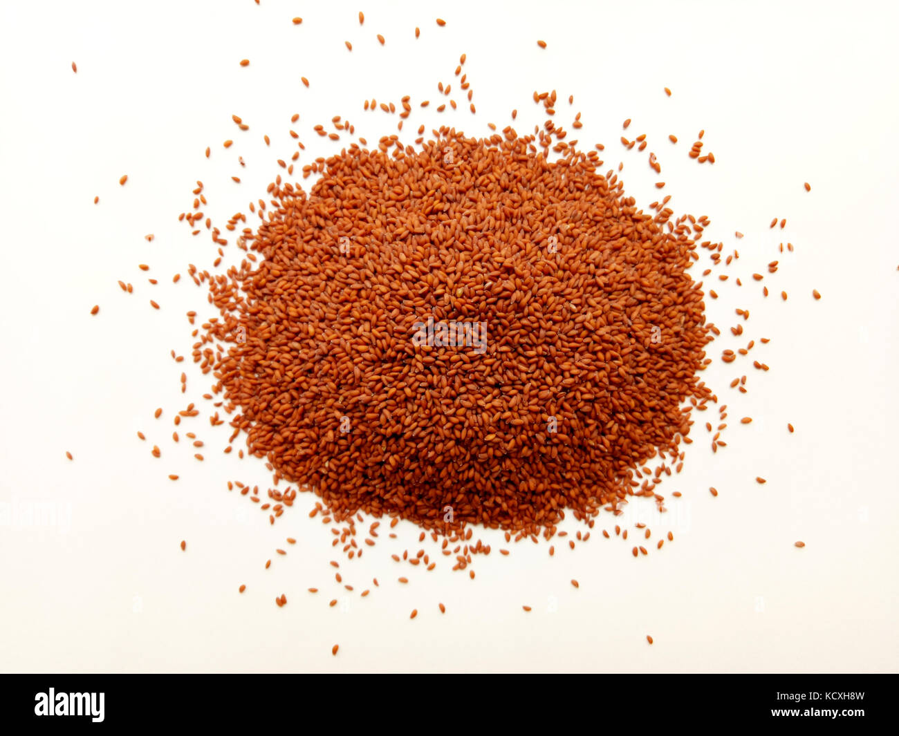 Garden Cress Seeds Stock Photo - Alamy