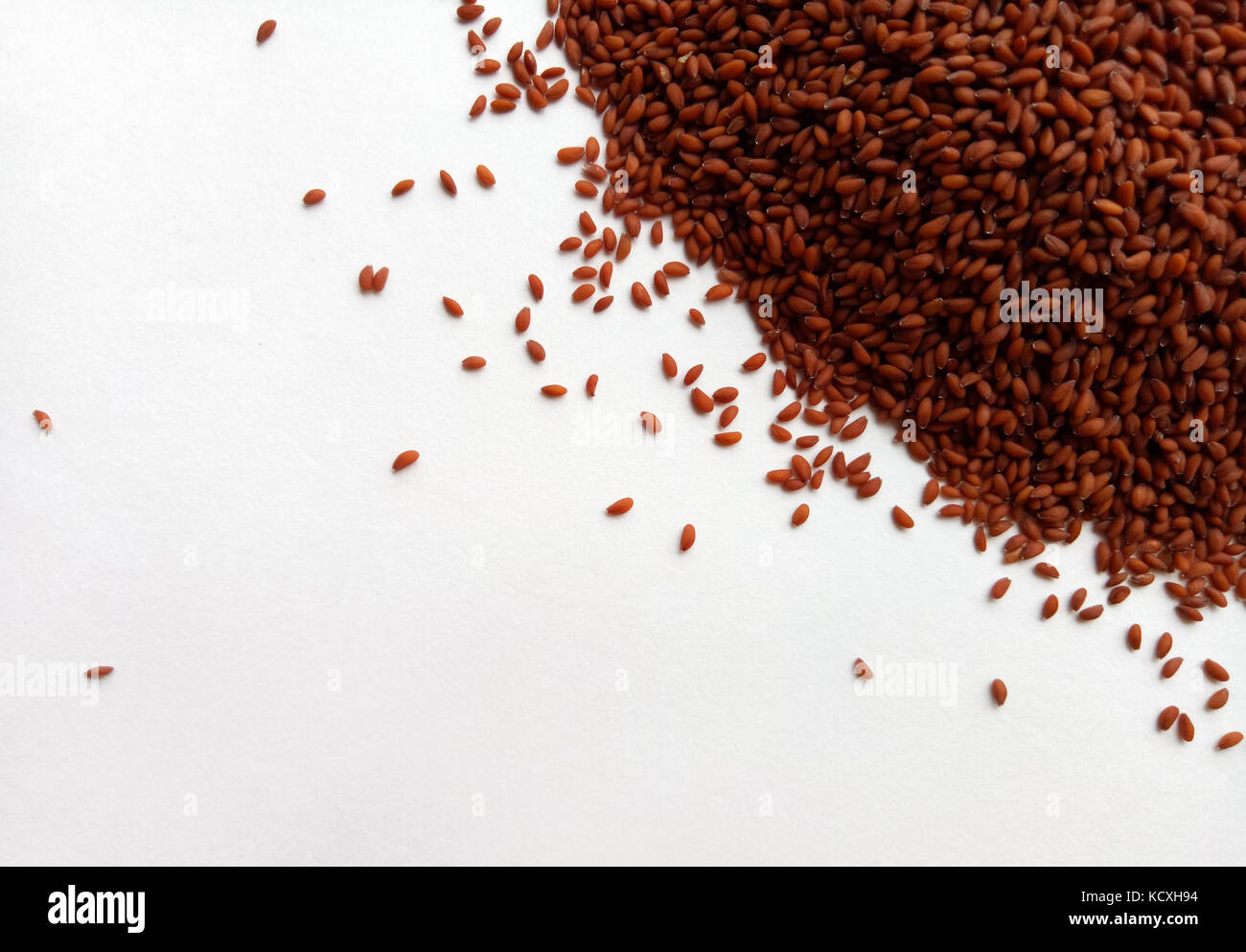 Halim seeds, hi-res stock photography and images - Alamy