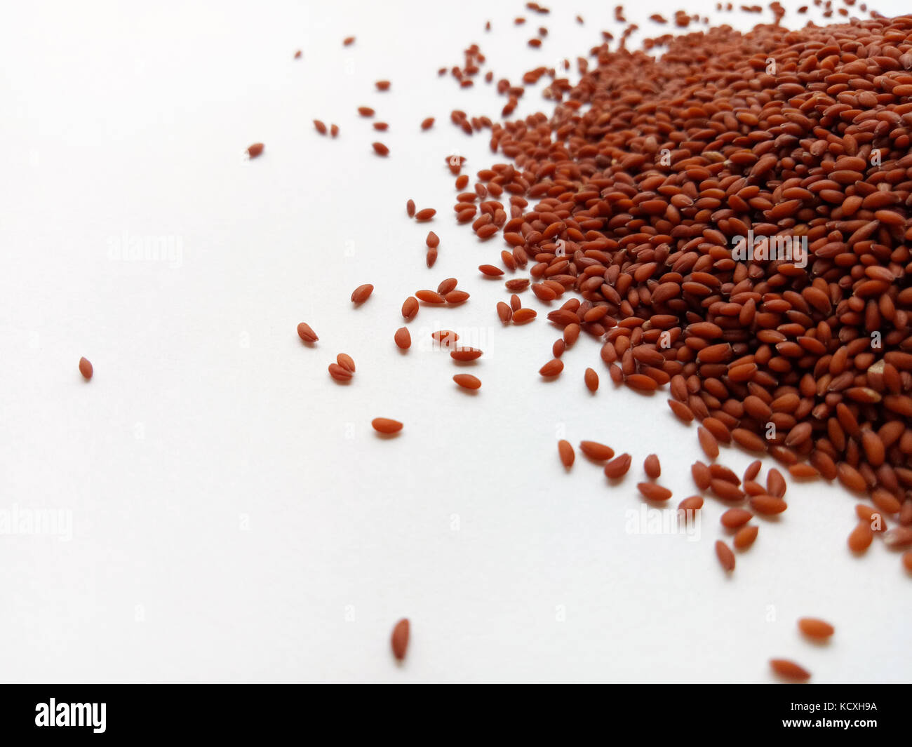 Garden Cress Seeds Stock Photo - Alamy