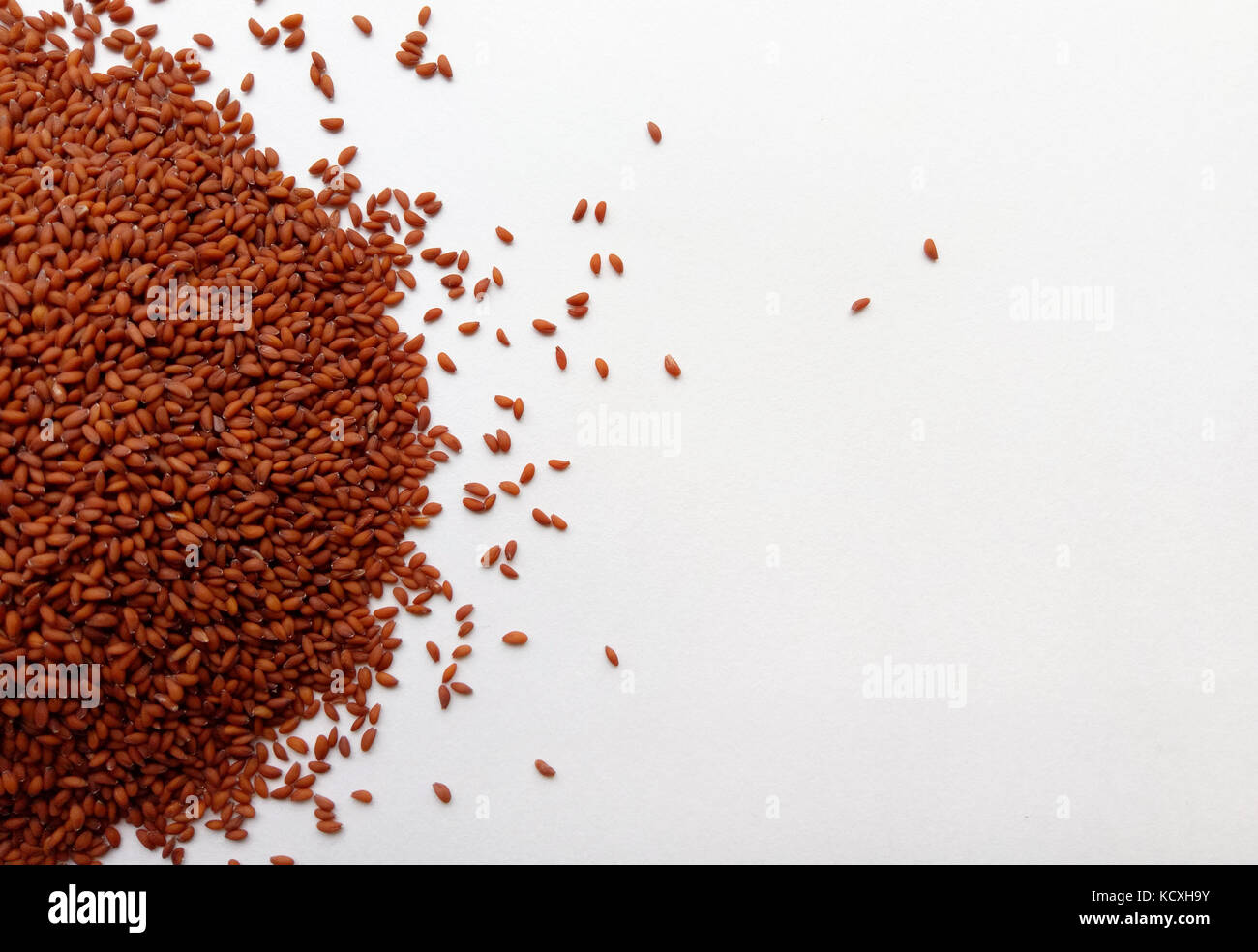 Garden Cress Seeds Stock Photo - Alamy