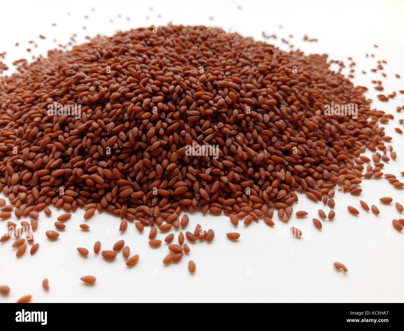 Garden Cress Seeds Stock Photo - Alamy