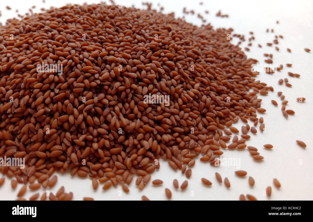 Garden Cress Seeds Stock Photo - Alamy