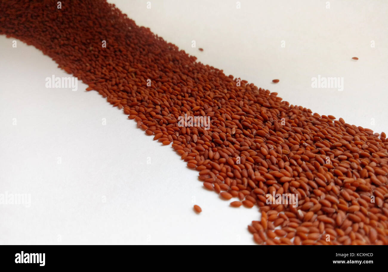 Garden Cress Seeds Stock Photo - Alamy