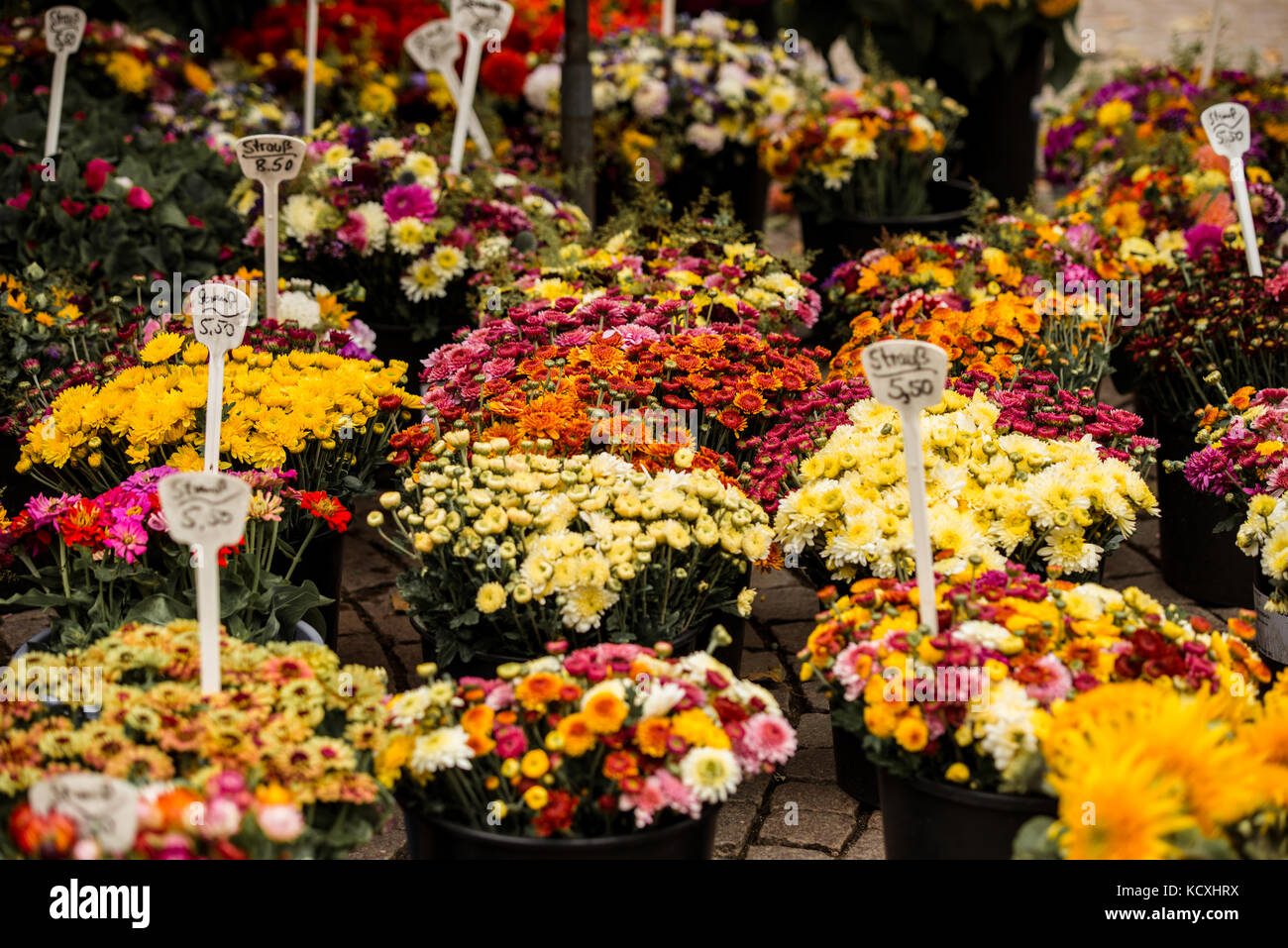 Flowers on a market in germany Stock Photo - Alamy
